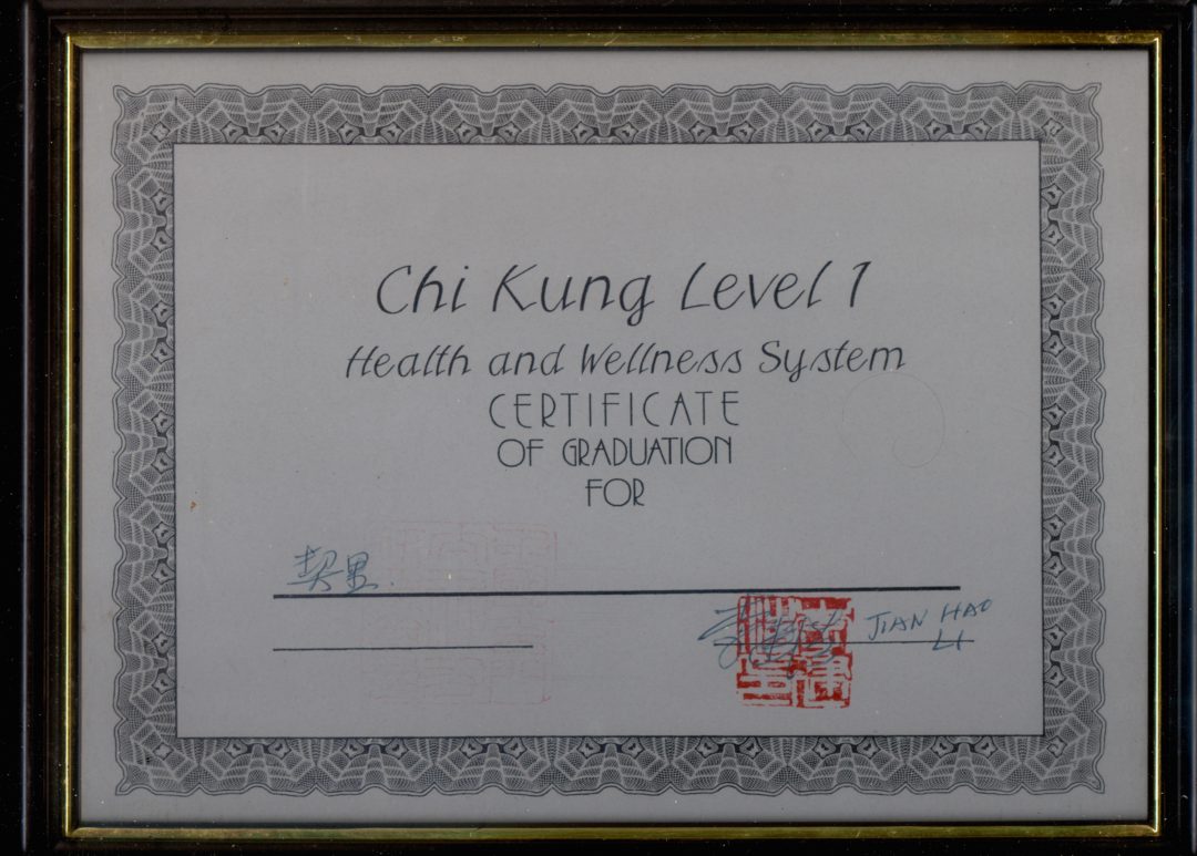 Other Training Certificates - Chung Fu Martial Arts